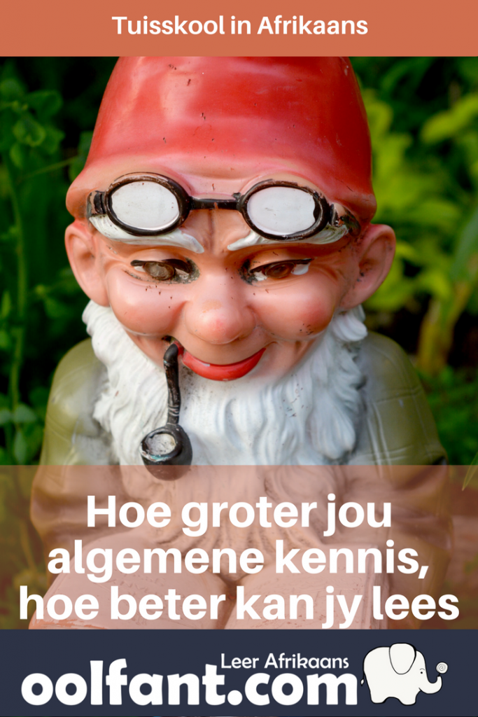 O wee, ons nasie se leesbegrip is vrot ... - oolfant.com: tuisskool in ...