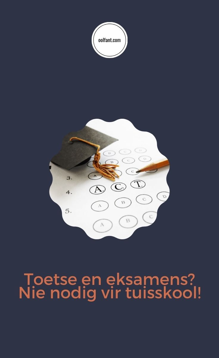 Toetse en eksamens? Nie nodig vir tuisskool! - oolfant.com: tuisskool ...